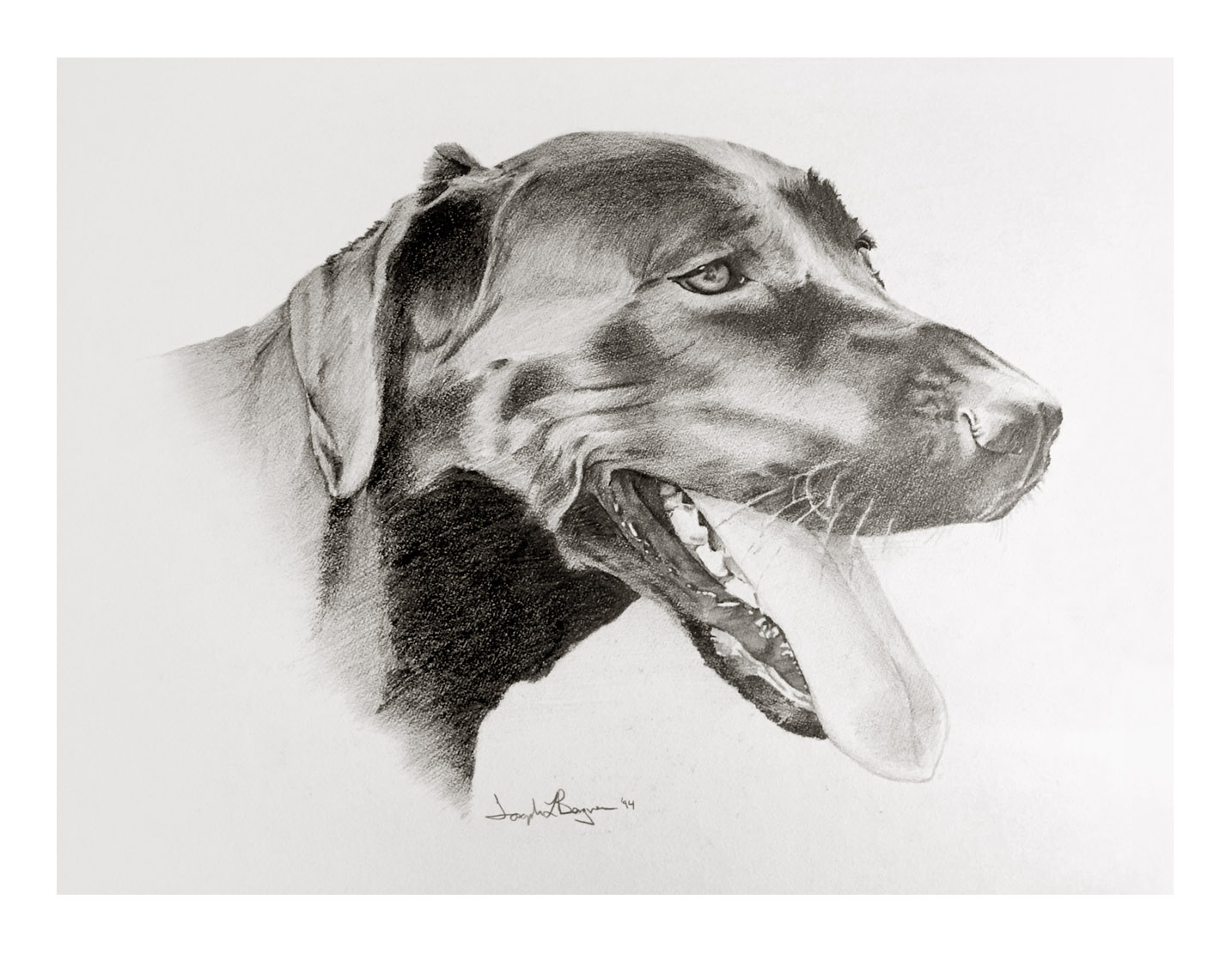 Killian – Joseph Bergner Portraiture