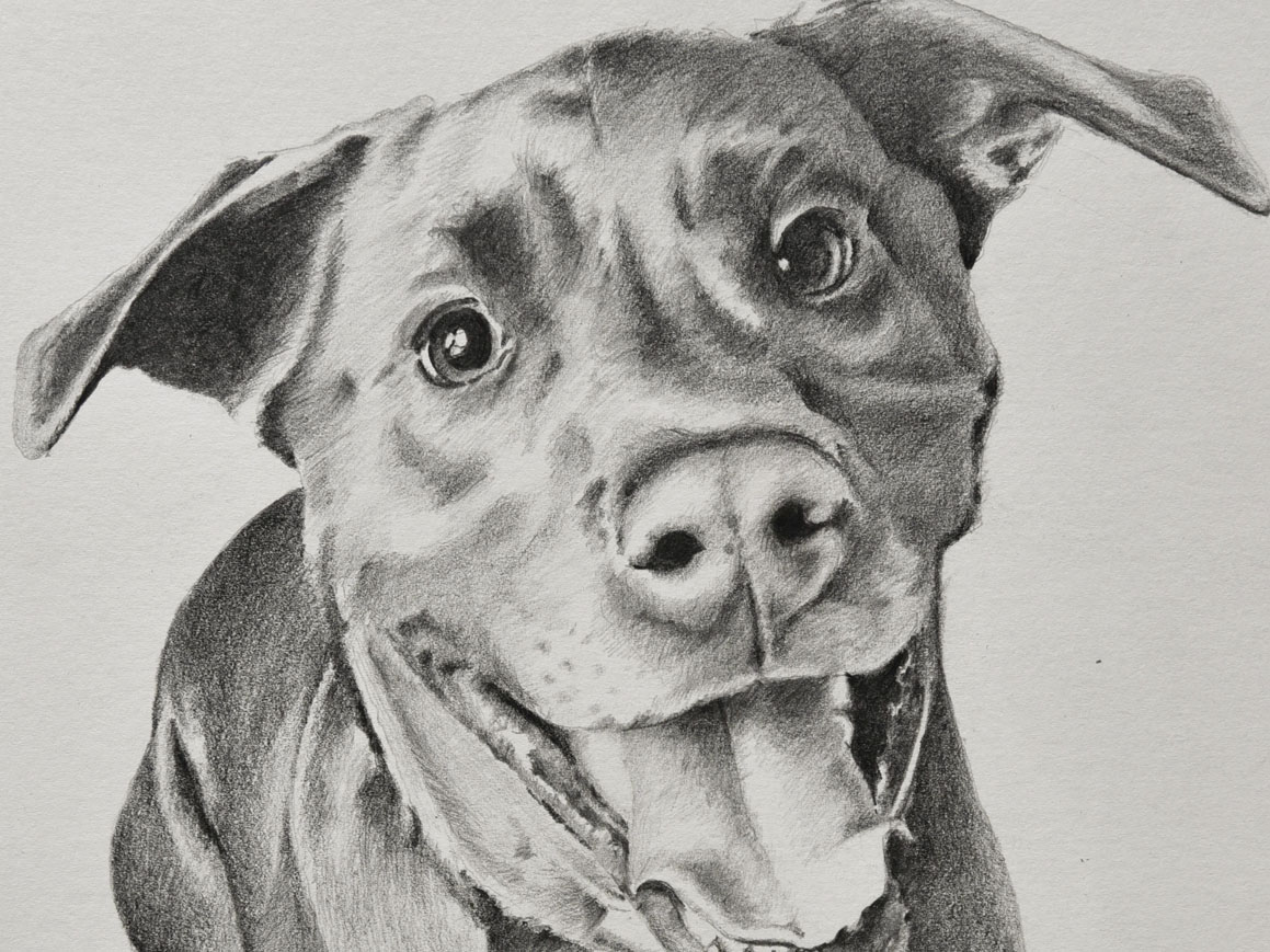 Tucker – Joseph Bergner Portraiture